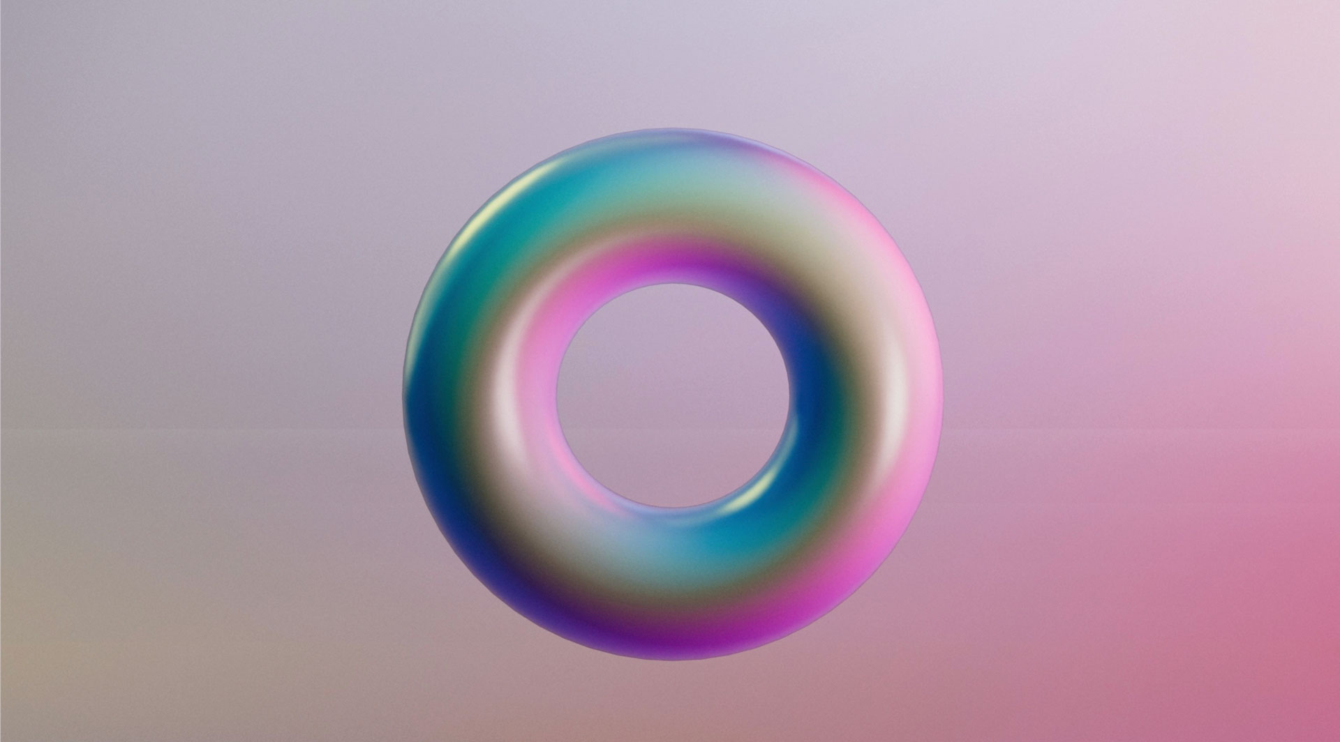 The Loop - Fox Collective